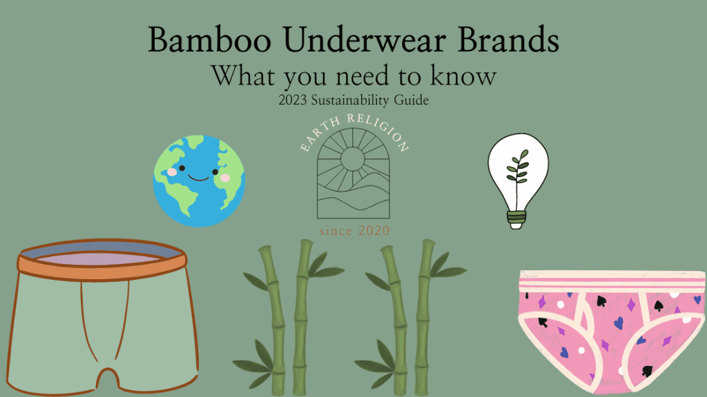 Bamboo Underwear Brands: What You Need To Know (2023)